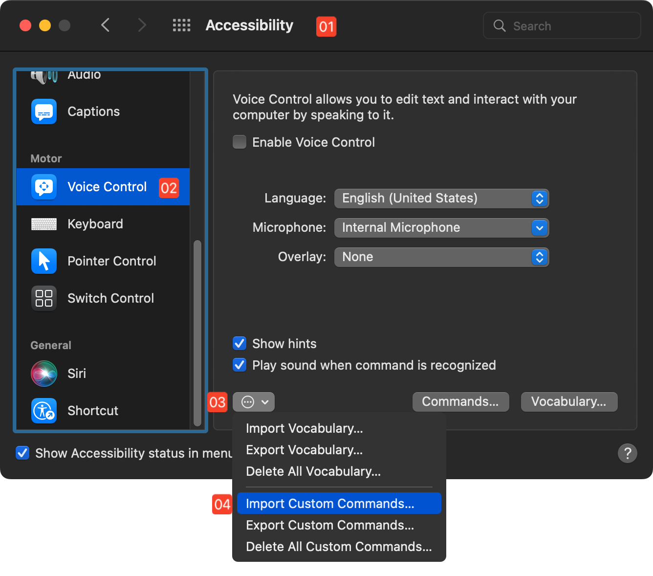 Install Voice Commands MacOS